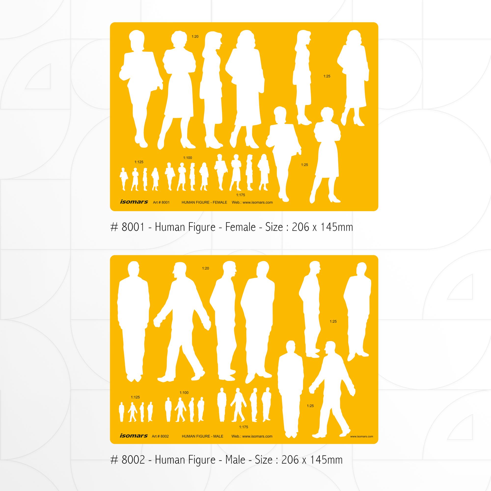 isomars Human Figure Drawing Template - multiscale - Croco